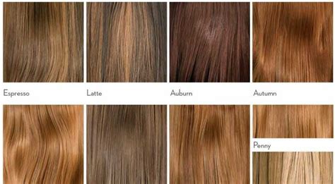 Exploring The Ion Permanent Hair Color Chart