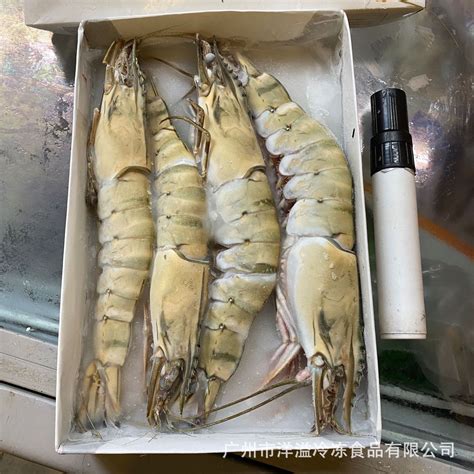 海虎虾是黑虎虾吗海虎虾和黑虎虾区别黑虎虾是海里的吗第10页大山谷图库
