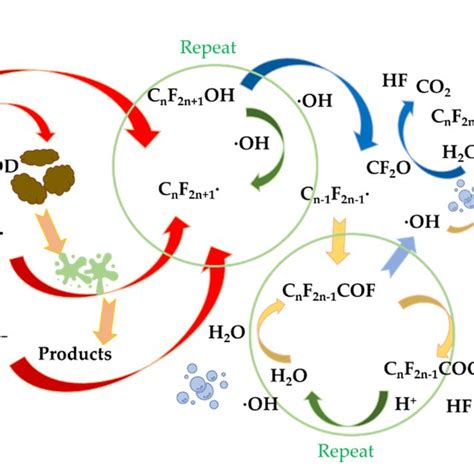 Electrochemical Oxidation Process Of Tiag Anodic Decomposition Of Pfca