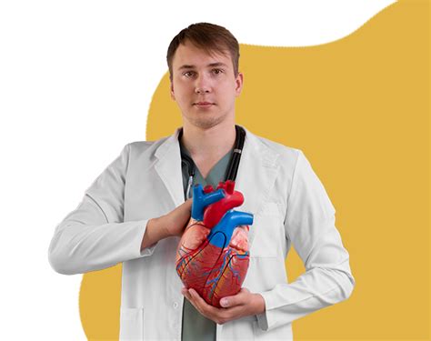 Bolesti Srca I Krvnih žila Prozor Zdravlja