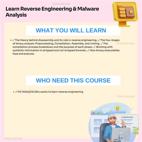 learn reverse engineering and malware analysis etsy
