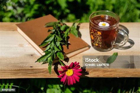 녹색 배경꽃에 초점에 표면 책 꽃과 박하 잎에 흰색 카모마일 꽃 봉 오리와 홍차의 유리 컵과 나무 벤치에 여름 정원에서 다도