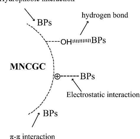 Figure 1 From A Novel Magnetic β Cyclodextrin Modified Graphene Oxide And Chitosan Composite As