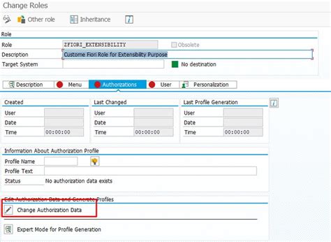 Using Extensibility Options In Sap S 4hana After System Conversion