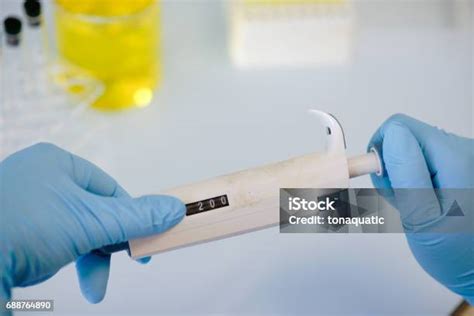 자동 파이펫으로 화학 실험실에서 일하는 과학자 파란색 장갑을 착용 Stem 주제에 대한 스톡 사진 및 기타 이미지 Stem 주제 과학 과학자 Istock