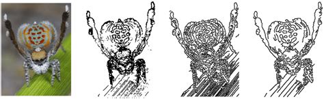 Comparison Of The M Rpi Method Center Left To The Canny Method When Download Scientific