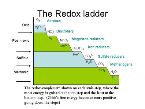 Redox Geochemistry Why Redox Gradients Drive Life Processes
