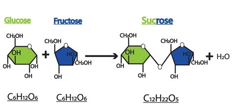 Fructose Structure Diagram