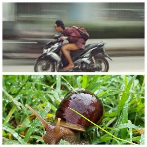 Prashanth Hm On Linkedin This Pic Is So Increminating That Even 🐌 Has Better Perceived The Theory…