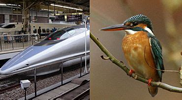 Japans 500 Series Shinkansen Bullet Train Is Modeled After A
