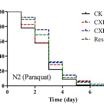 Effect Of CXL And CXR On The Antioxidant Defense System In C Elegans Download Scientific