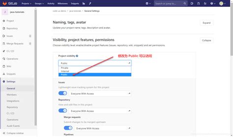Gitlab 如何修改项目从私有到公有gitlab将私有改完公用 Csdn博客