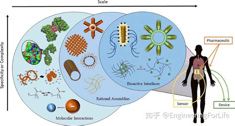 【再生医学前沿】顶刊综述：模块化制造具有智能材料组织界面的仿生器件 知乎