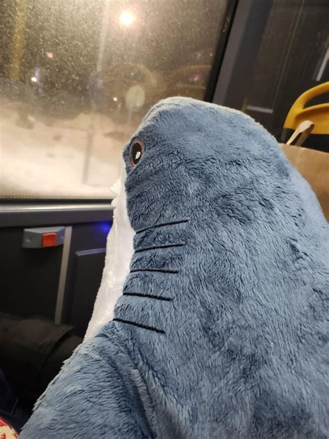 My First Blåhaj 🦈 Rblahaj