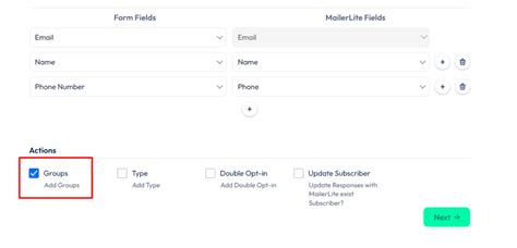 Mailerlite Integration Bit Form
