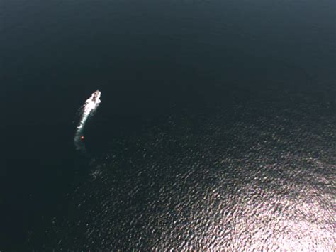 Seagulldatabasevis011small Vislab Computer And Robot Vision