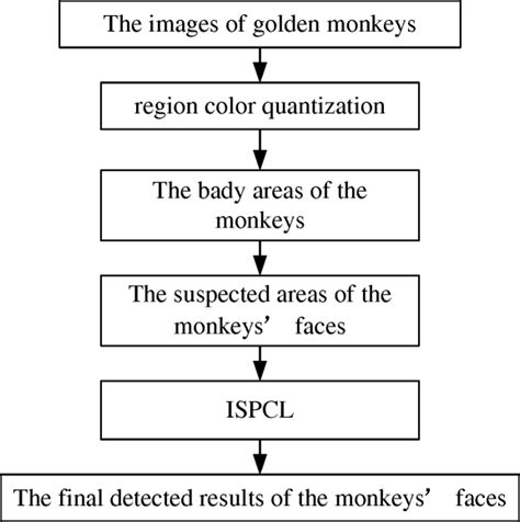 The Flow Chart Of Our Face Detection Algorithm Download Scientific Diagram