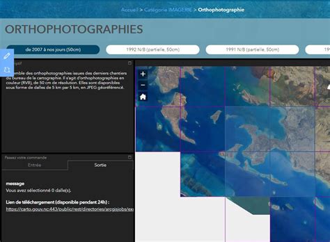 Solved Issue With Geoprocessing Widget On Web App Builder Esri Community