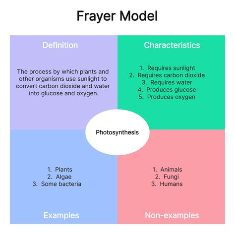 Frayer Model Graphic Organizer Template And Guide Pdf Agile
