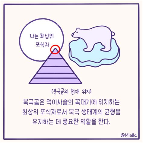 갈 곳을 잃은 북극곰의 눈물