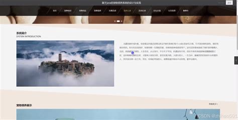 基于flaskvue框架的宠物领养系统 开题论文程序 计算机毕设 Csdn博客