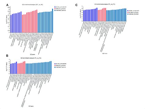 Gene Ontology Go Functional Enrichment Of The Degs Go Enrichment Bar
