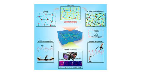 Flexible Hybrid Wearable Sensors For Pressure And Thermal Sensing Based On A Double Network