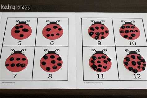 Ladybug Spots Counting Activity Counting Activities Preschool Themes Activities
