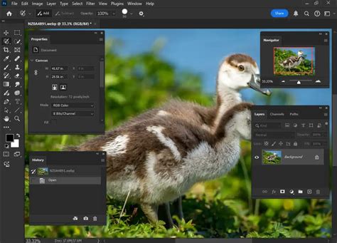 Photoshop Screen Modes Tutorial