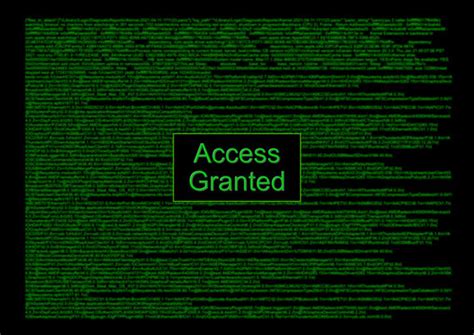 access granted hacker typer