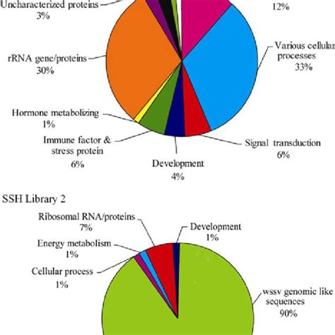 Functional Distribution Of Transcripts Isolated By Suppression