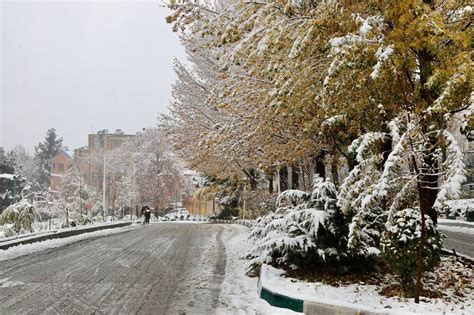 کلاس های آموزشی در دانشگاه شهید بهشتی از ظهر امروز غیرحضوری می شود