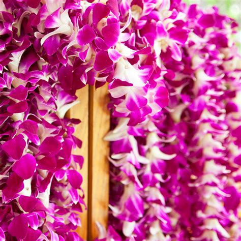 Fresh Hawaiian Orchid Leis Delivered Flower Leis As Low As 990