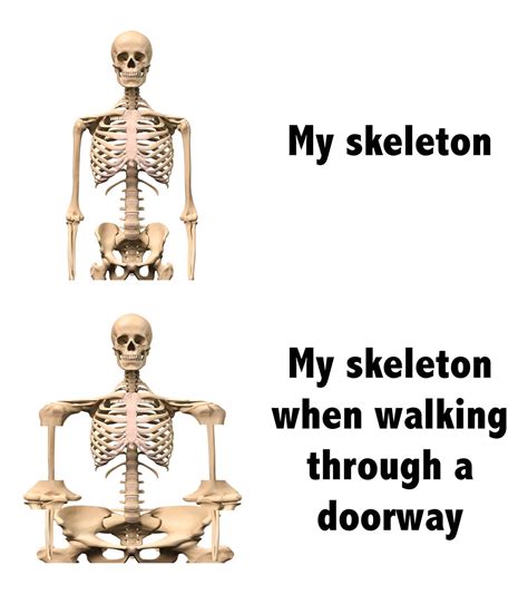 Skeleton Bone Memes 139 Rib Tickling Bone Puns To Crack You Up Today