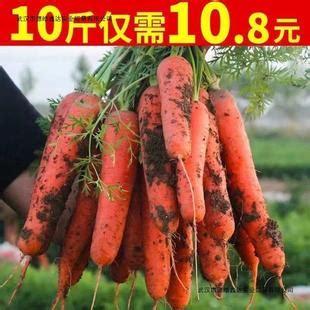 现挖现发胡萝卜10斤新鲜农家蔬菜脆甜沙地生红黄心胡罗卜包邮 阿里巴巴