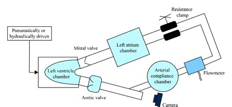 Figure 1 From Mock Circulatory Loop Applications For Testing
