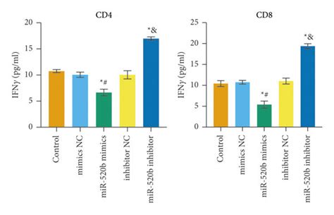 Mir 520b Bound To Pten And During Cd4 T Cell Differentiated To Th1 And Download Scientific