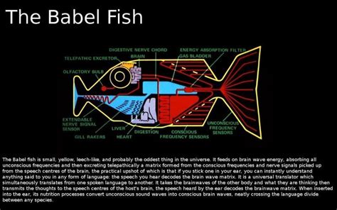 Balabit On Linkedin At Fosdem In Brussels 2 February 12 00 You Can Learn Why Syslog Ng Is The…