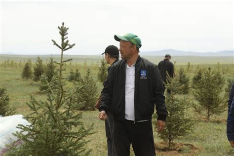 “Тэрбум мод” хөдөлгөөний хүрээнд Хархорум хотод ойн зурвас байгуулах ажил эрчимтэй өрнөж байна