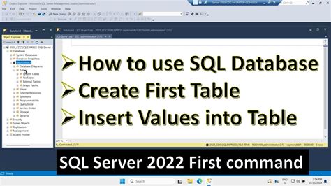 Creating Table In Microsoft Sql Server 2022 And Inserting Values