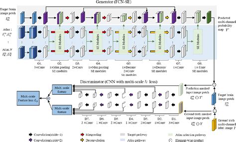 Figure 1 From Multi Atlas Brain Parcellation Using Squeeze And Excitation Fully Convolutional
