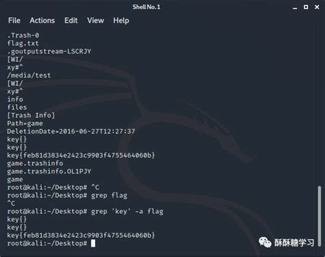Bugku：杂项 Linux Csdn博客