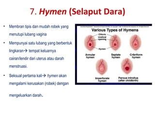 Sistem Reproduksi Wanita Ppt
