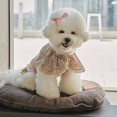 리틀 프린세스 탑 3color 디자인포도그