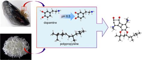 Schematic Of Surface Functionalization Of Polypropylene Fibers With