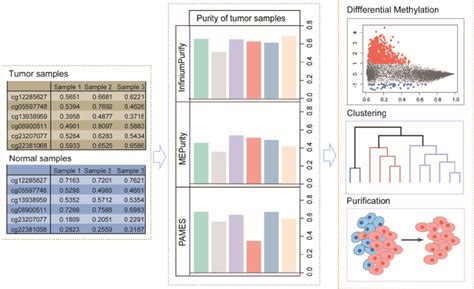 workflow of purimeth on tumor purity estimation and downstream data