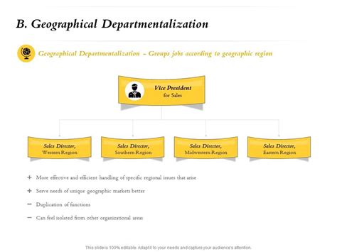 Geographical Departmentalization Southern Ppt Powerpoint Presentation File Designs