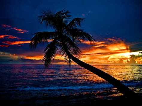 Tropical Beach Sunset Wallpaper Desktop Wallpapersafari