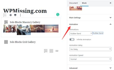 Elegant Photo Gallery Block For Gutenberg Editor Solo Blocks Wp Missing