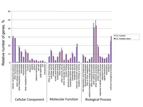 Histogram Presentation Of Gene Ontology Classification Of Putative Download Scientific Diagram